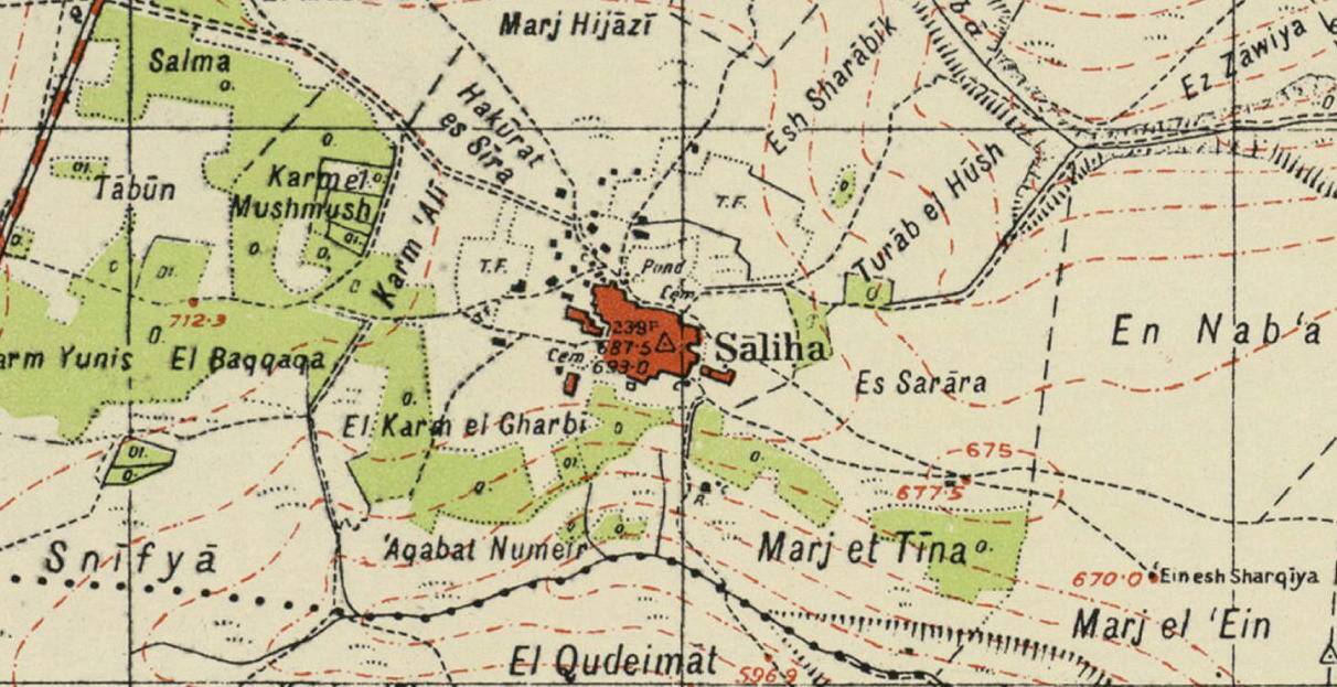 Saliha - Palestine Open Maps